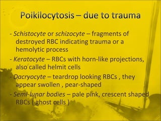 Red blood cell variation. | PPT