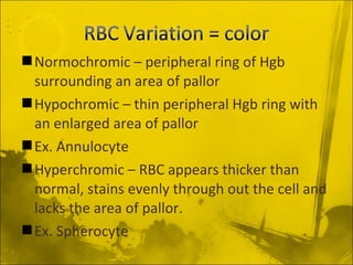 Red blood cell variation. | PPT