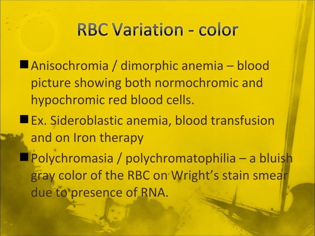 Red blood cell variation. | PPT