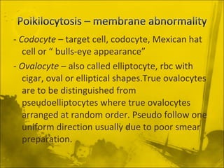 Red blood cell variation. | PPT