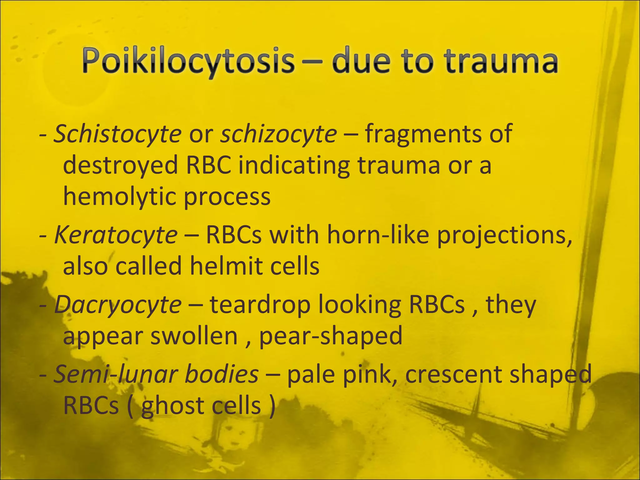 Red blood cell variation | PPT