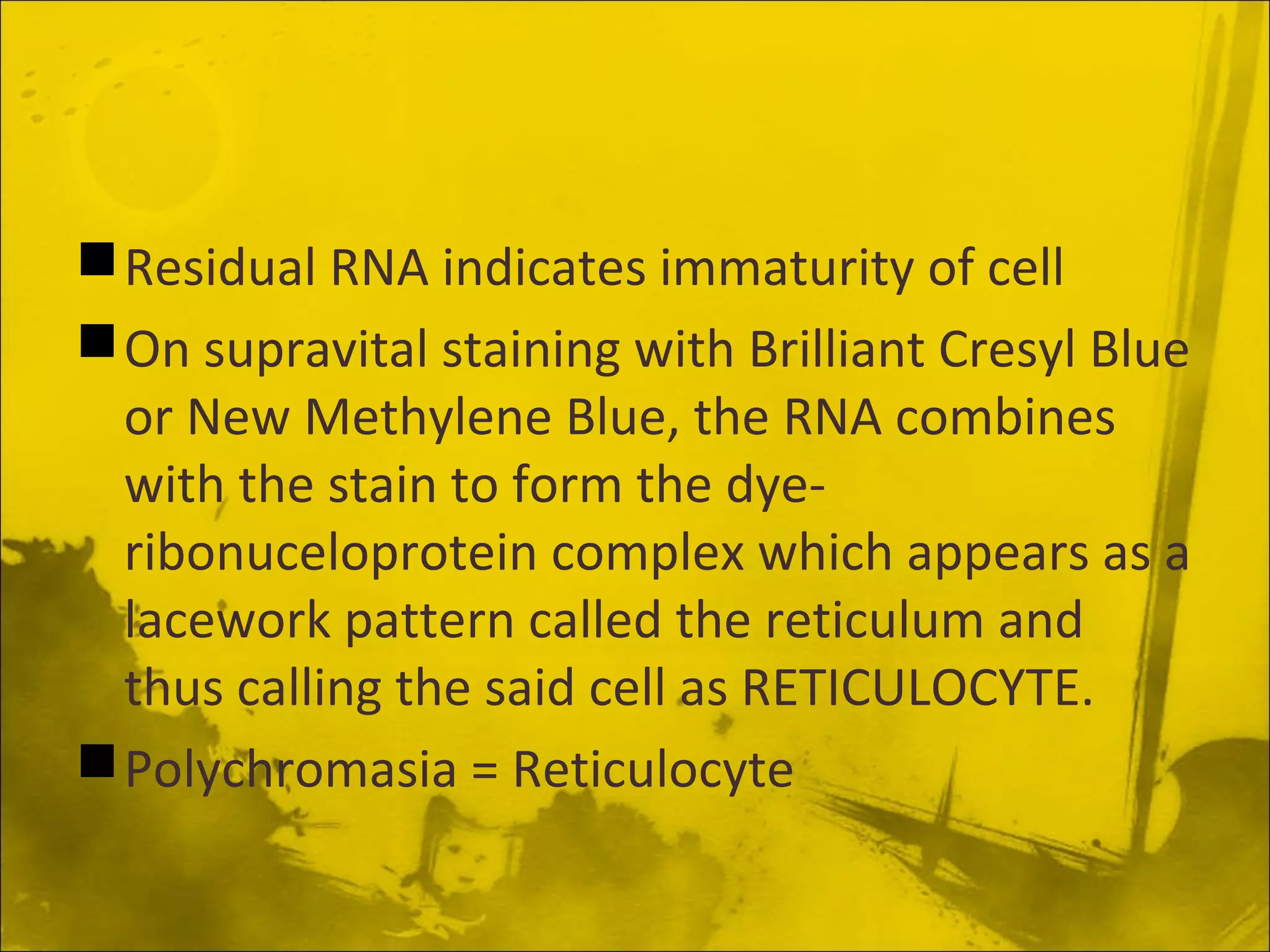 Red blood cell variation | PPT