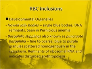 Red blood cell variation | PPT