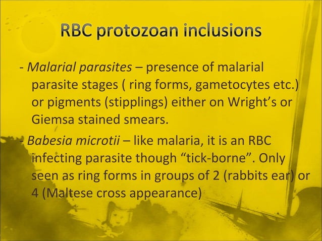 Red blood cell variation | PPT