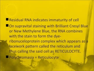 Red blood cell variation | PPT