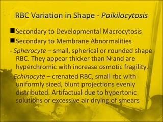 Red blood cell variation | PPT