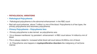 Red Blood Corpuscle-Formation-Maturation.pptx