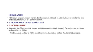 Red Blood Corpuscle-Formation-Maturation.pptx