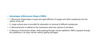 Red Blood Corpuscle-Formation-Maturation.pptx