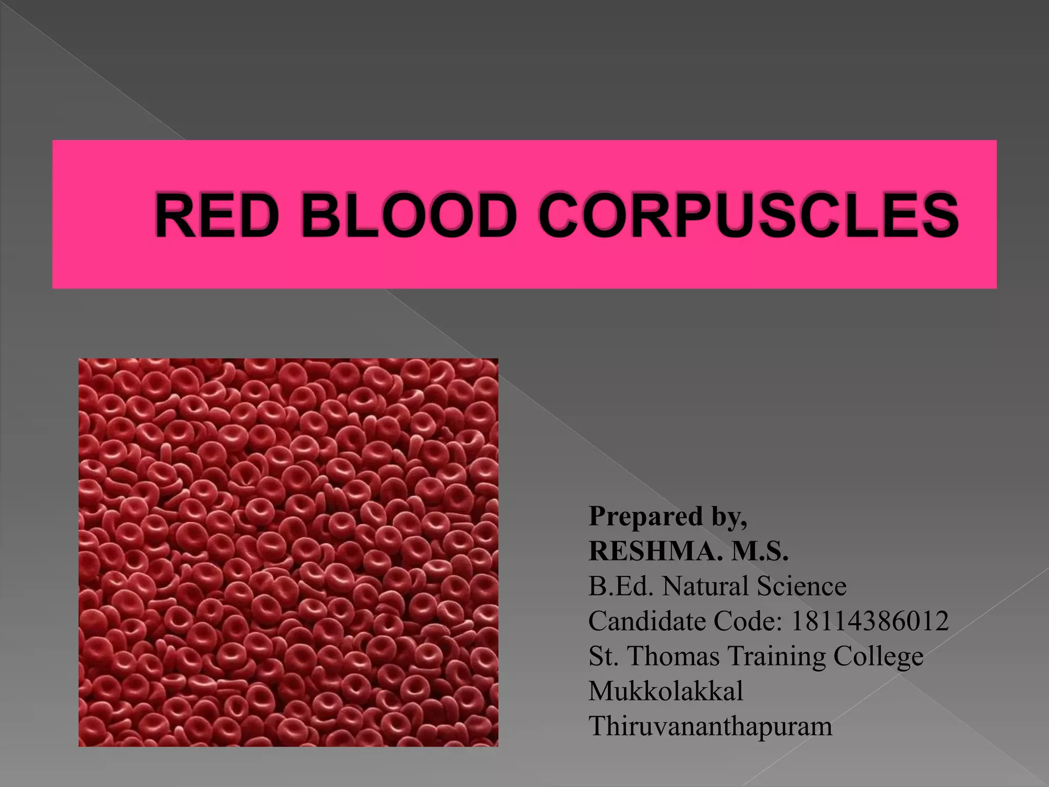 Red blood corpuscles class 9 | PPTX