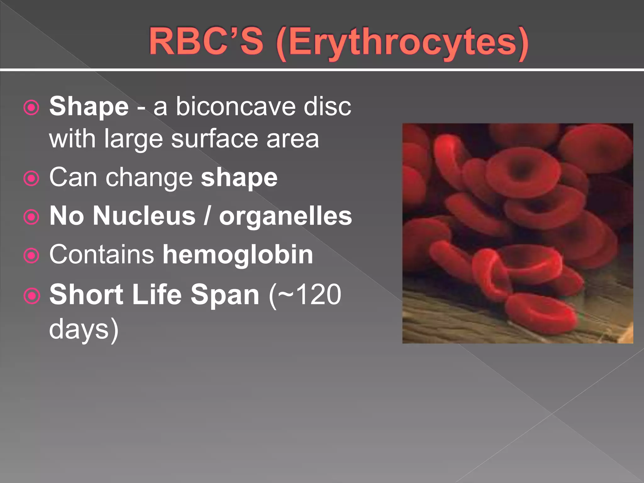 Red blood corpuscles class 9 | PPTX