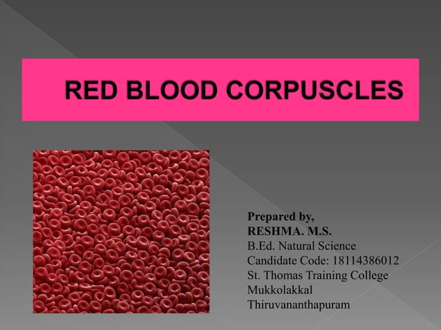 Red blood corpuscles class 9 | PPTX | Blood Disorders | Diseases and ...