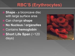 Red blood corpuscles class 9 | PPTX