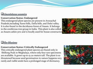 Red Data Book | PPTX