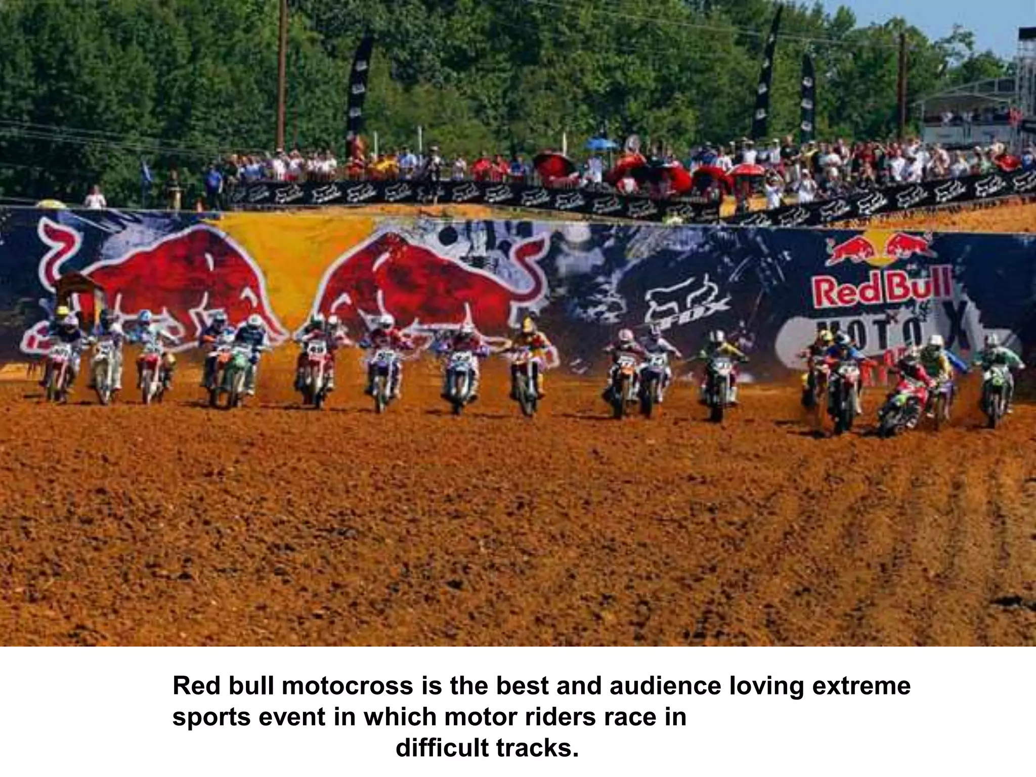 Red bull presentation | PPTX
