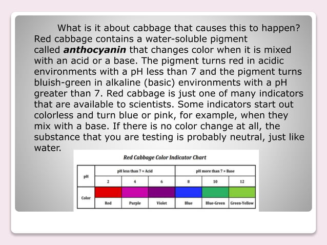 Red cabbage chemistry | PPTX | Chemistry | Science