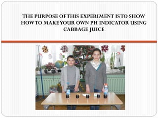 Red cabbage ph indicator | PPT