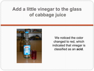 Red cabbage ph indicator | PPT