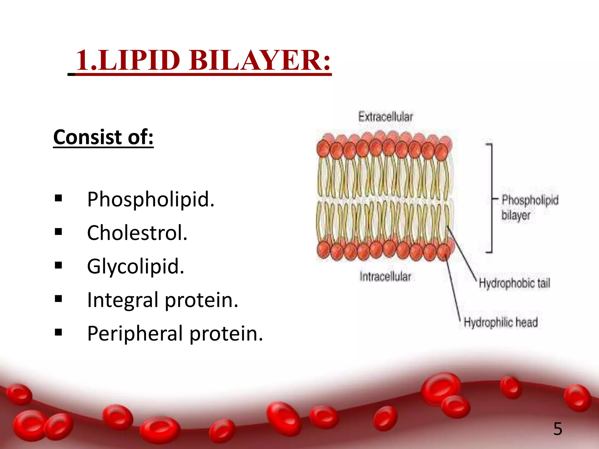 Red cell membrane | PPTX