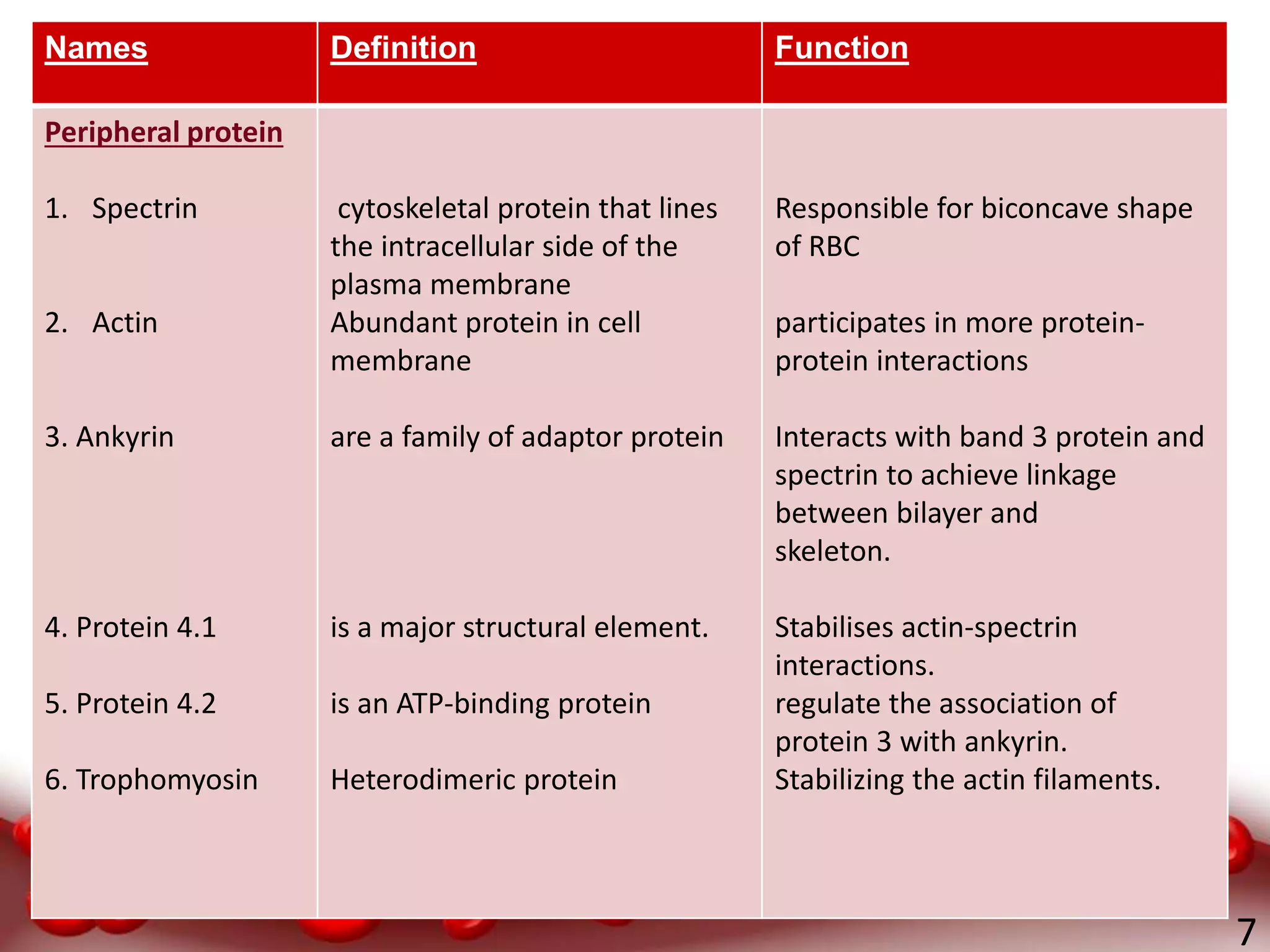 Red cell membrane | PPTX