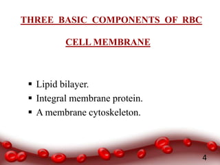 Red cell membrane | PPTX