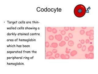 Red blood Cells Morphology detailed .ppt