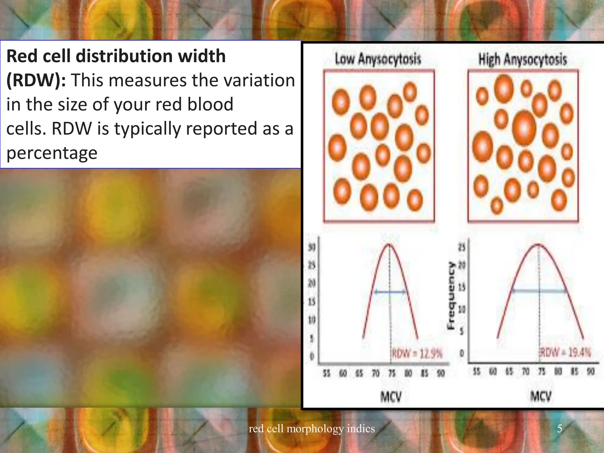 red cell morphology indices.1.pdf