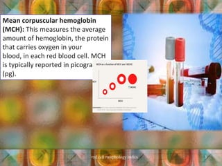 red cell morphology indices.1.pdf