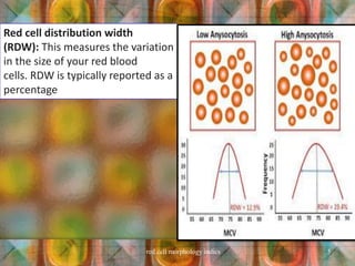 red cell morphology indices.1.pdf