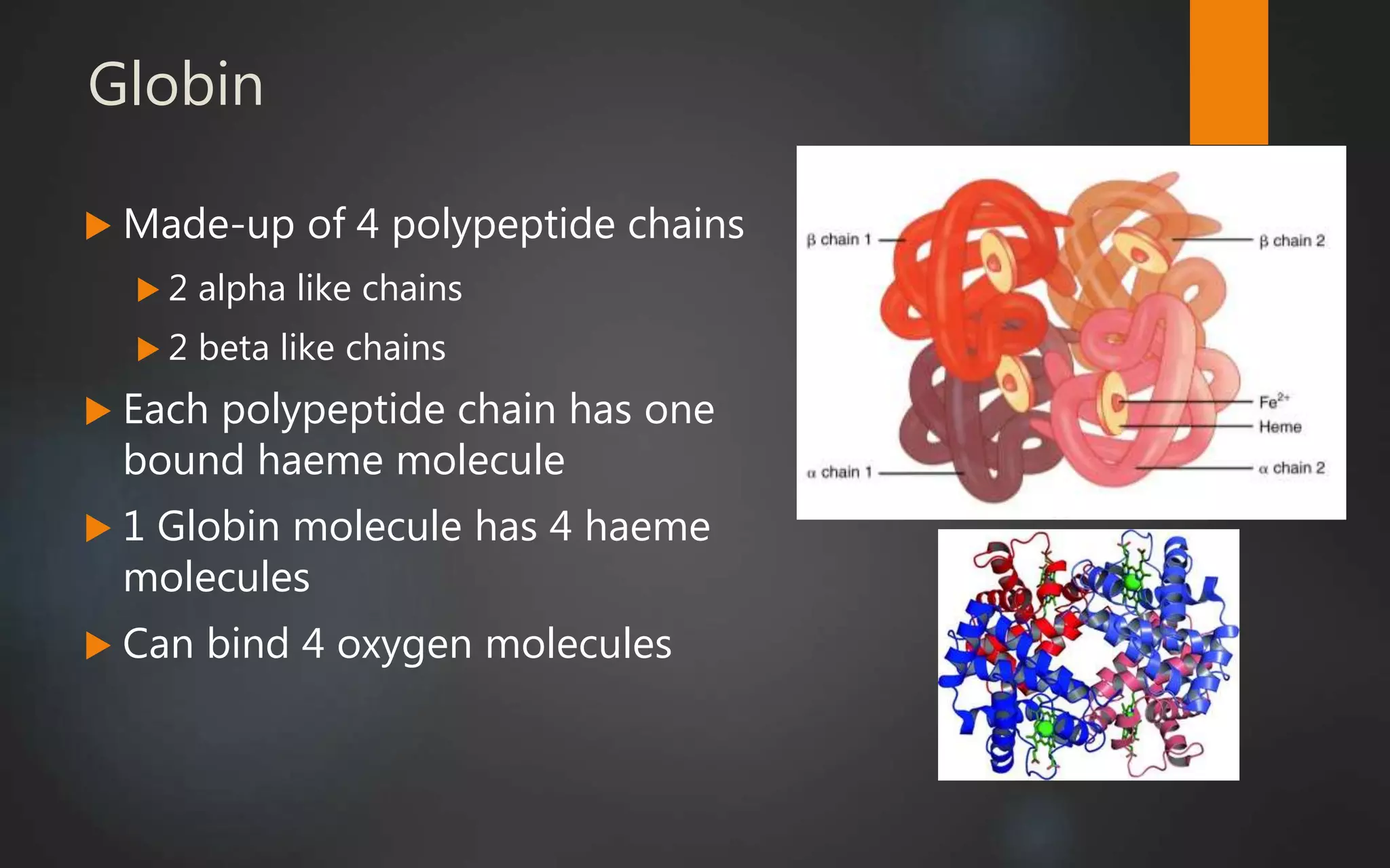 Red Cell Physiology & Pathophysiology of Sickle Cell Disease | PPTX