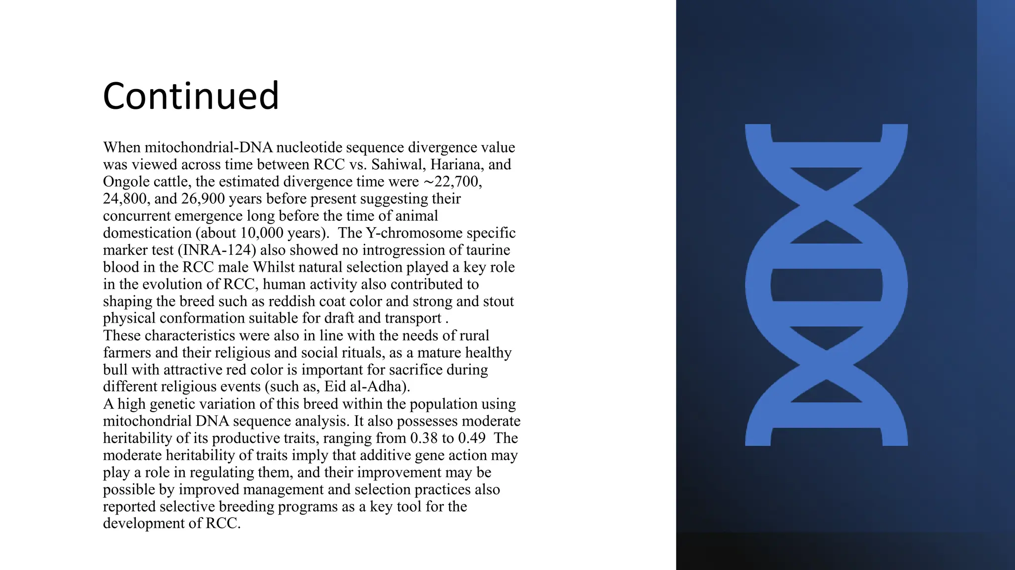 Red Chittagong cattle breed.pptx