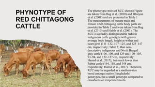 Red Chittagong cattle breed.pptx