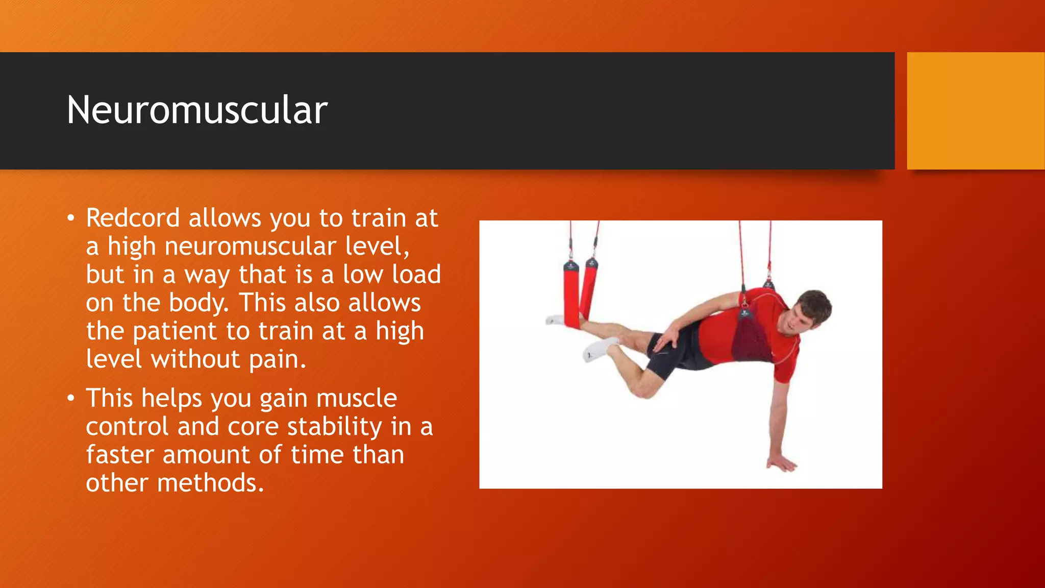 Redcord Therapy | PPTX