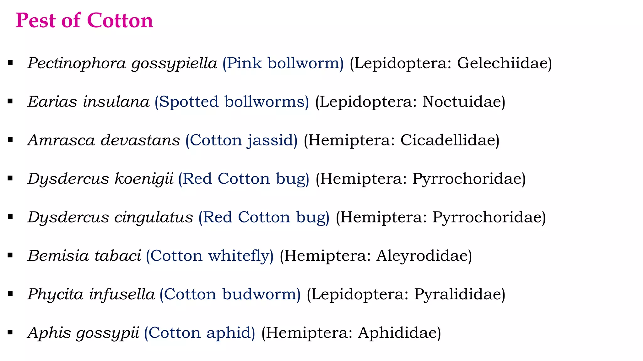 Pest of Cotton: Red cotton bug | PDF