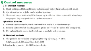 Pest of Cotton: Red cotton bug | PDF