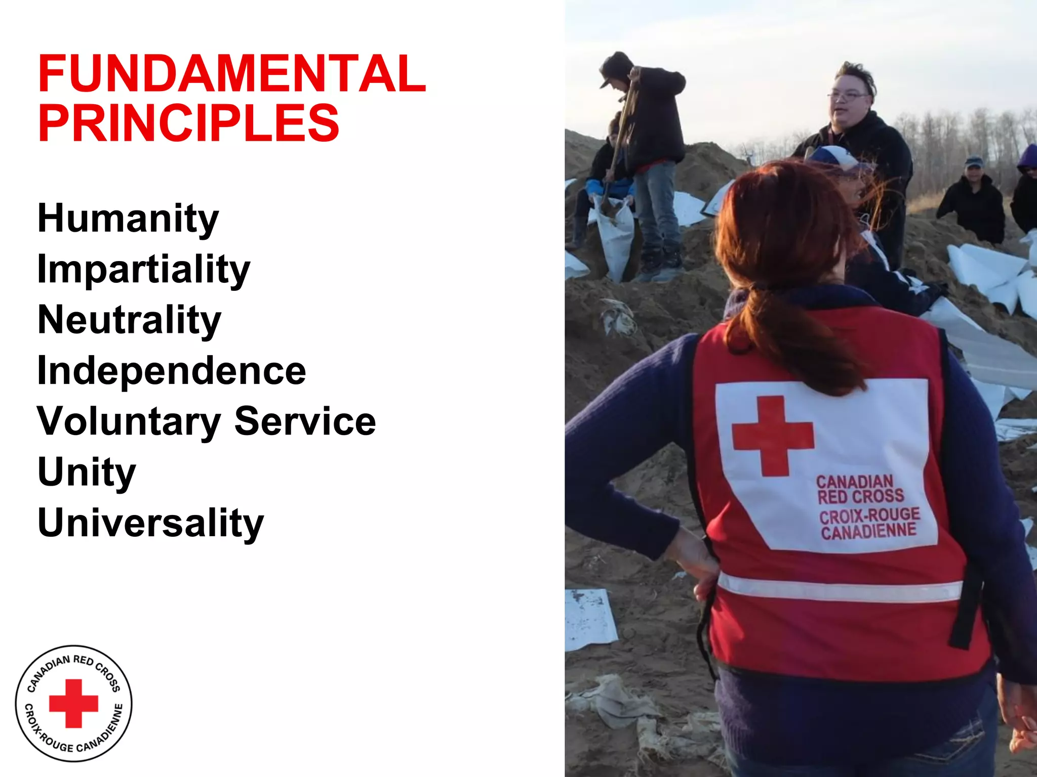 Red cross' English Online Presentation | PDF