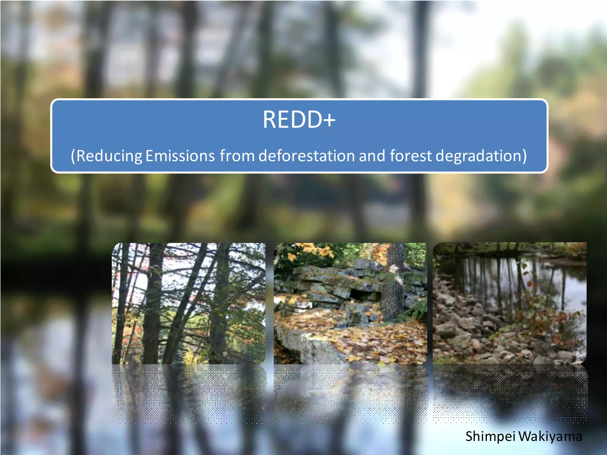 Redd+ | PPT