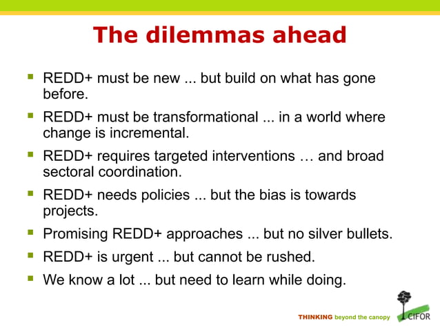 REDD+ National strategy and policy options | PPTX | Agriculture ...