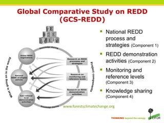 REDD+ National strategy and policy options | PPTX