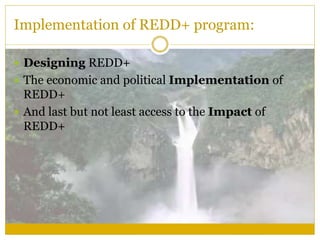 Redd+ and green economy | PPT