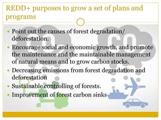 Redd+ and green economy | PPT