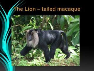 Red data book | PPTX