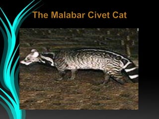 Red data book | PPTX