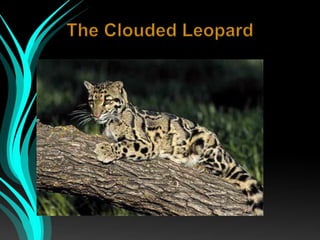 Red data book | PPTX