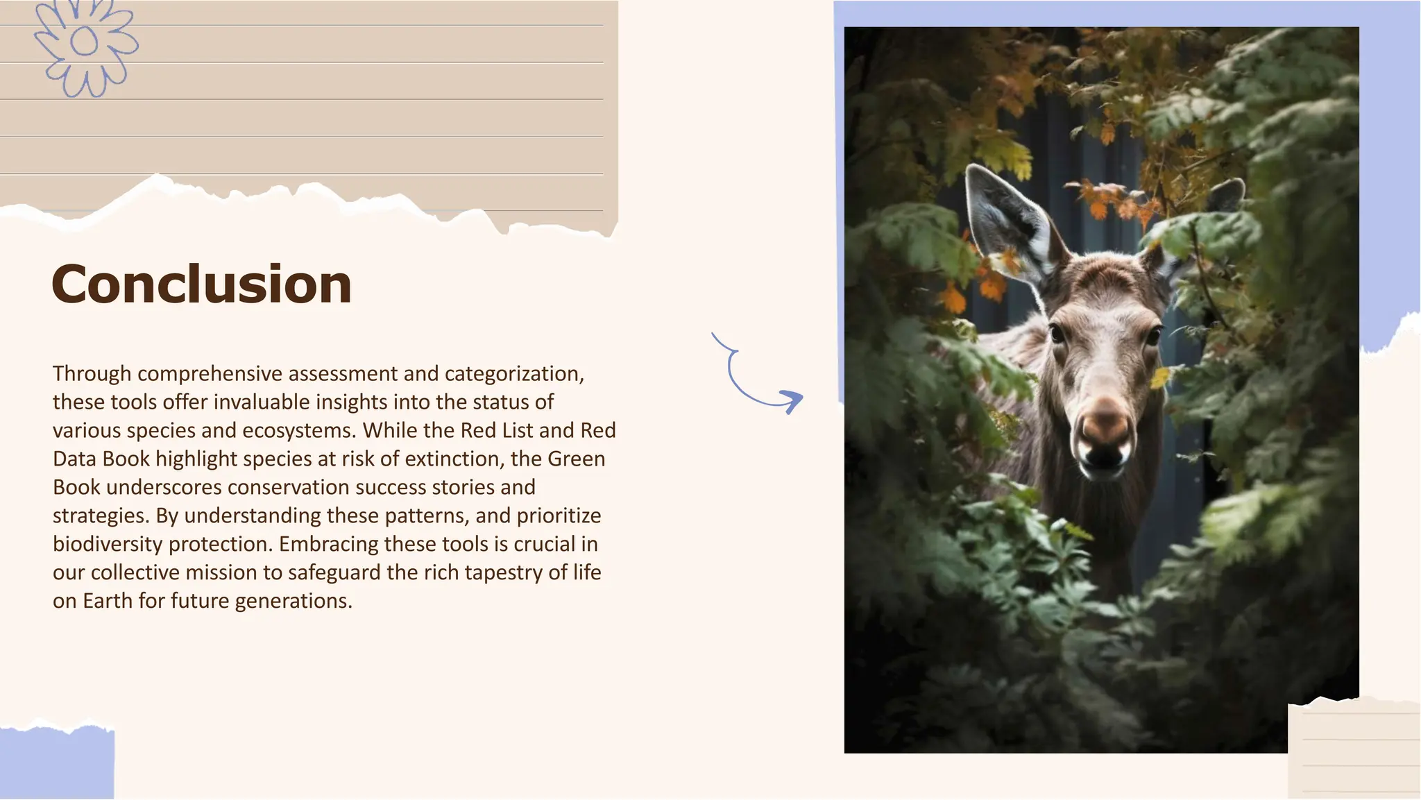 The Patterns of Loss of Biodiversity: Red List, Red Data Book, and ...