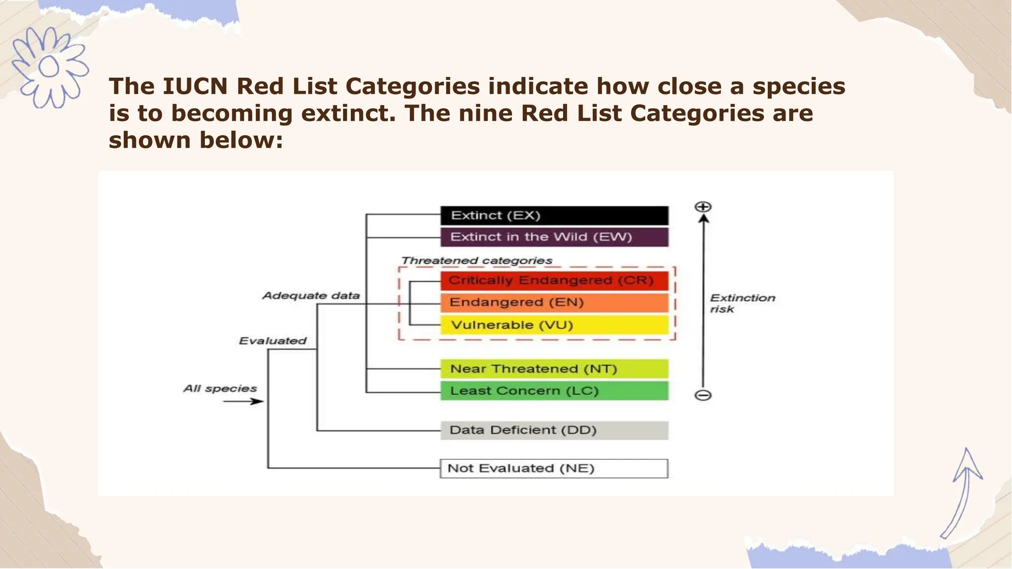 The Patterns of Loss of Biodiversity: Red List, Red Data Book, and ...