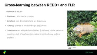 REDD+ challenges and lessons learnt | PPT