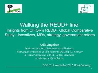 Walking the REDD+ line: Insights from CIFOR's REDD+ Global Comparative Study | PPT