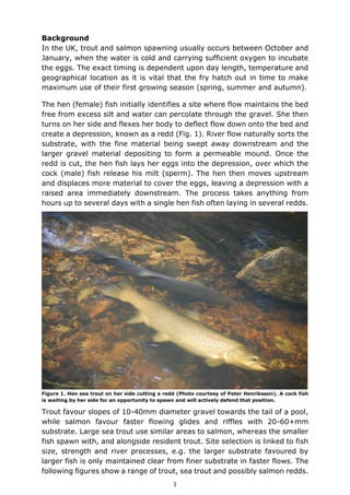 Salmonid redd identification | PDF