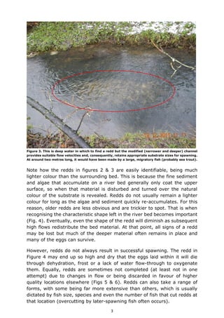 Salmonid redd identification | PDF